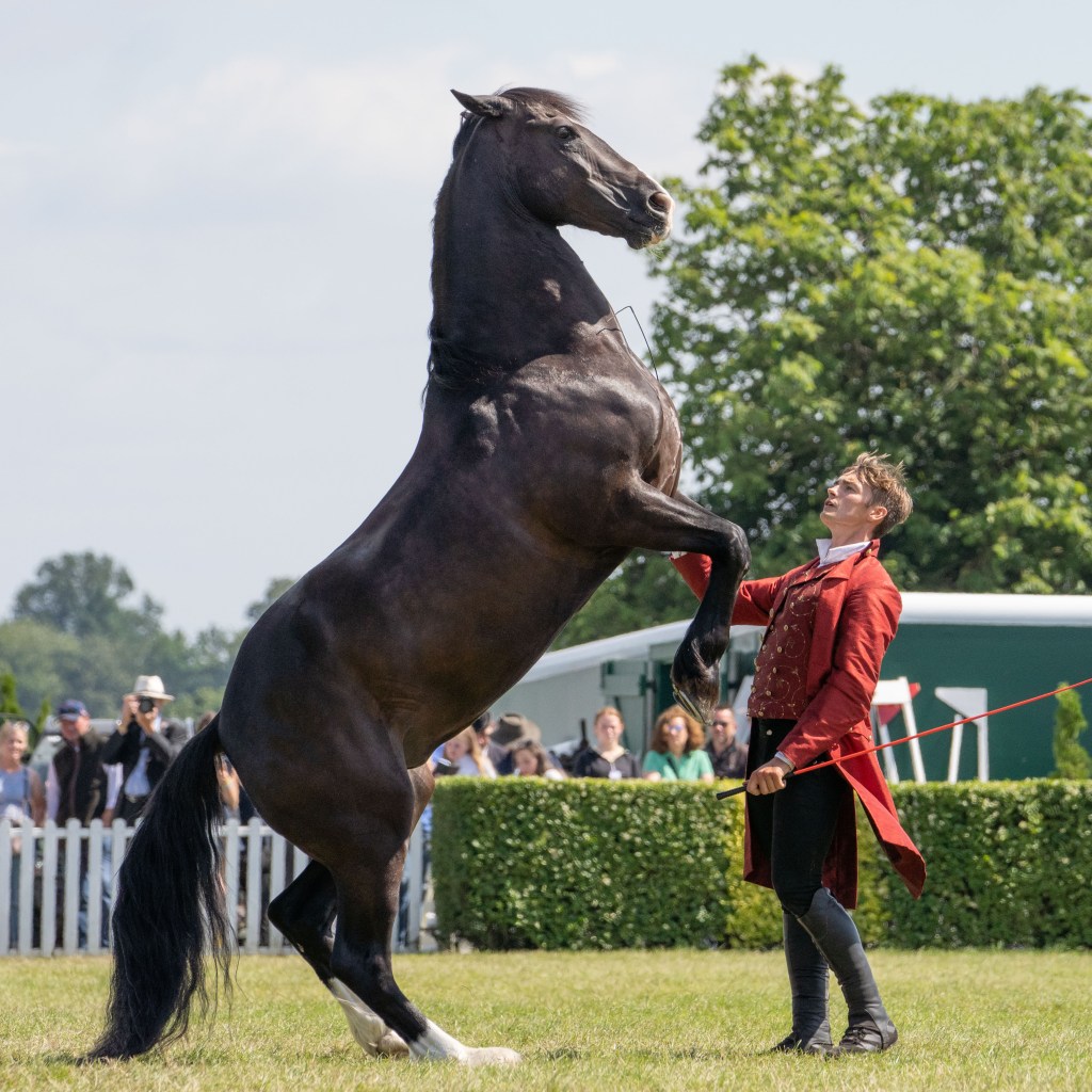 Cotswold Show & Food Festival – Cotswold Country Fair Ltd