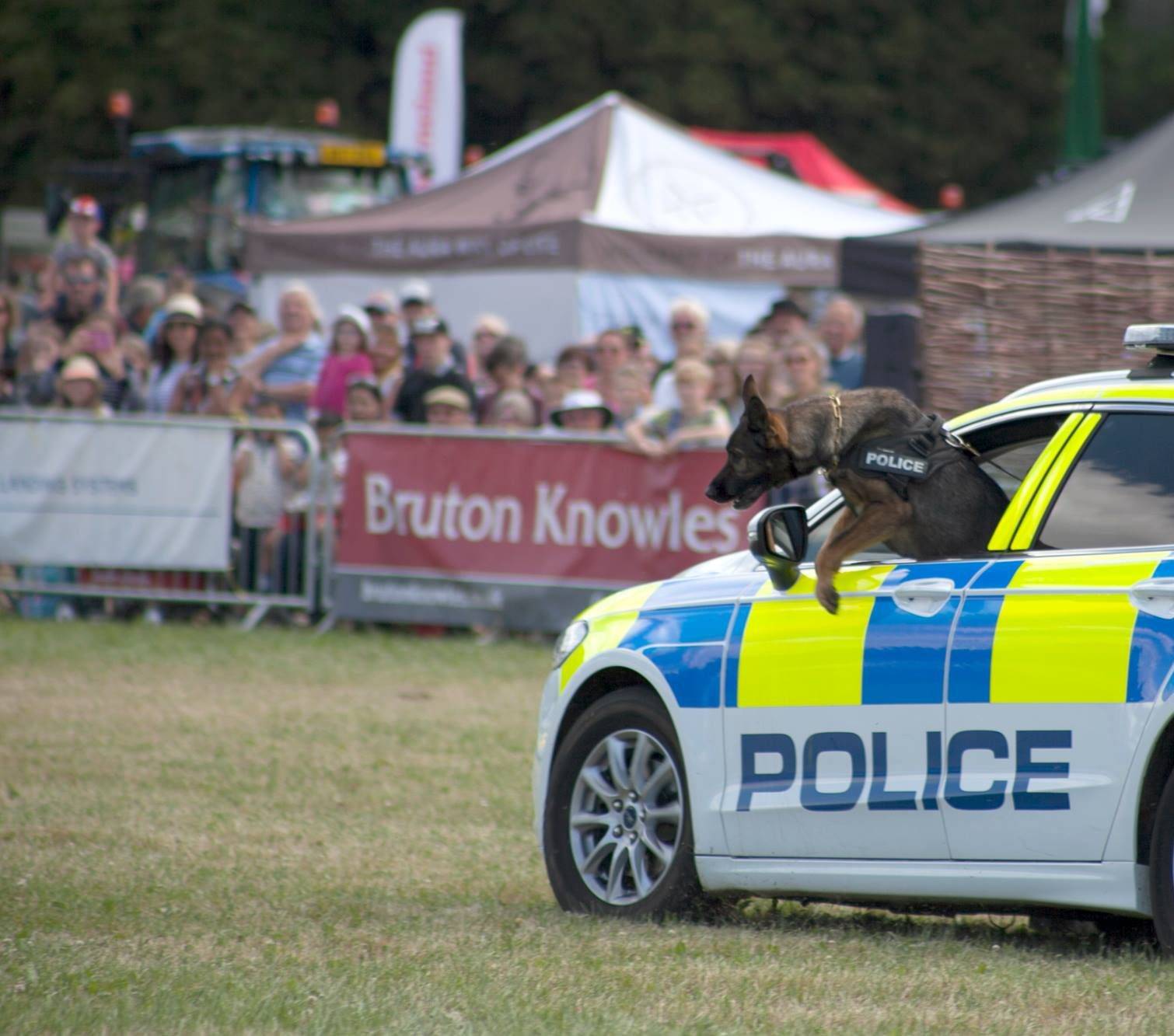 World of Dogs – Cotswold Show & Food Festival